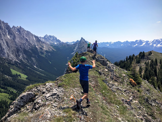 Family Adventures in the Canadian Rockies: King Creek Ridge - Family ...