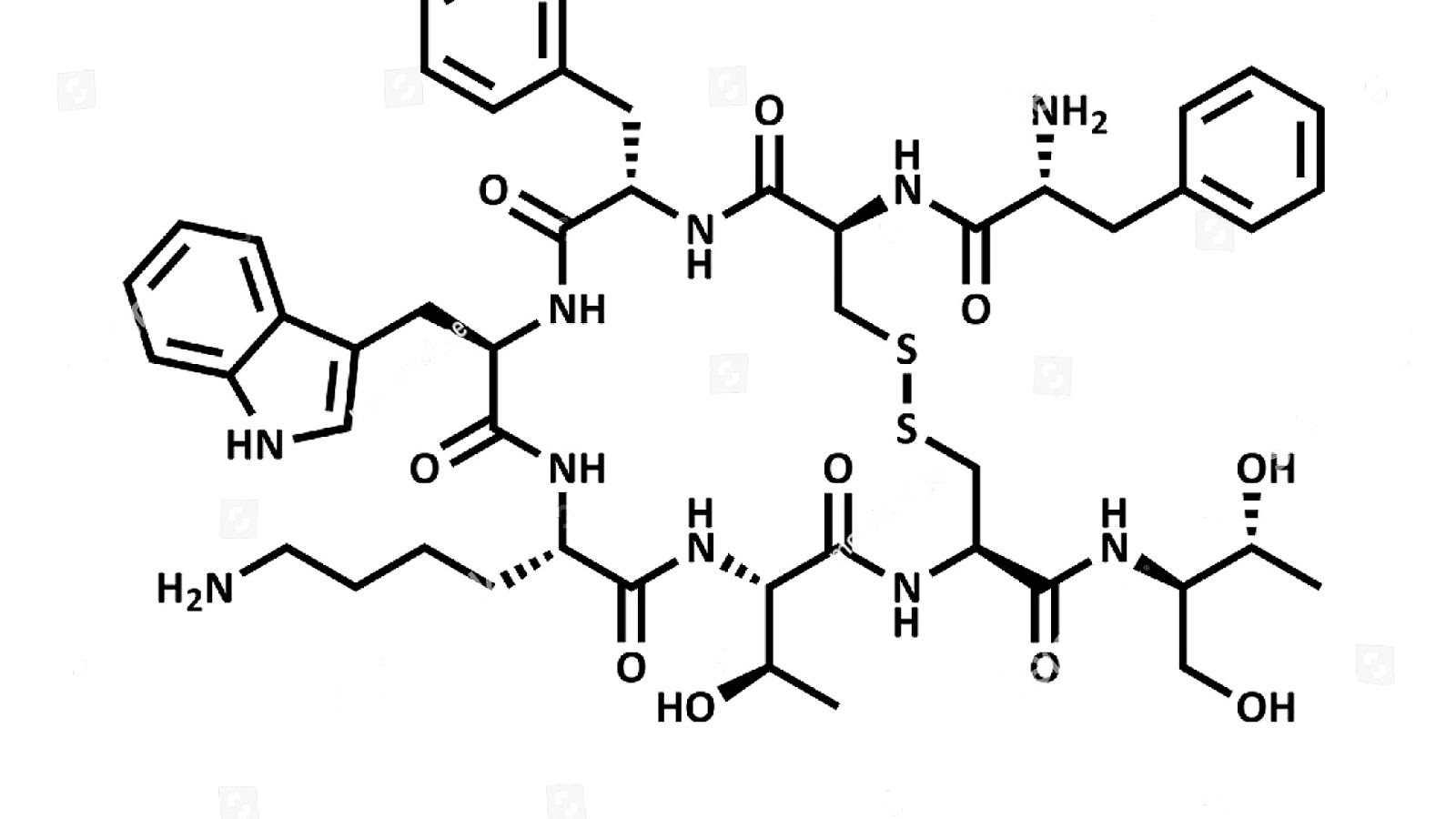 Insulin Insulin Molecular Formula Insulin Choices