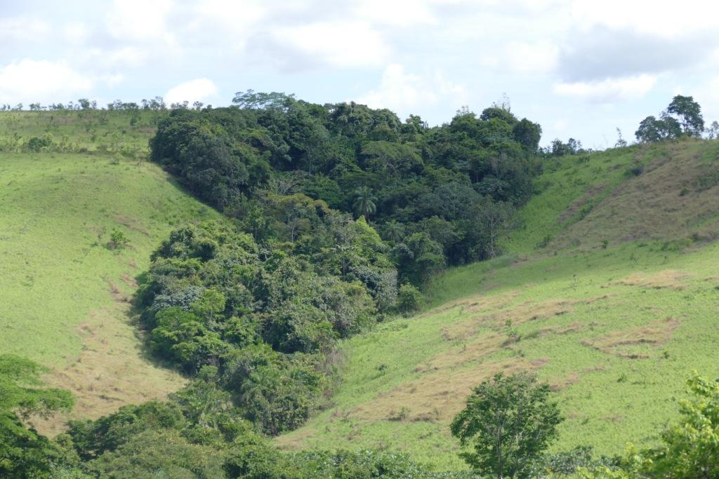 séjour au Gabon: De La Lékédi à Léconi