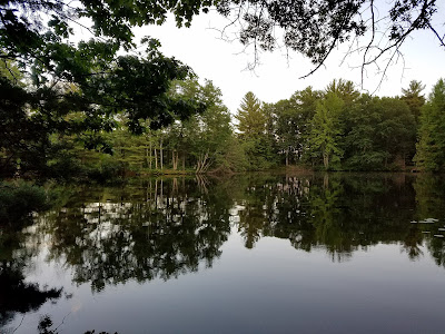 T@B Camp: Pine Point County Park WI 6.15.17