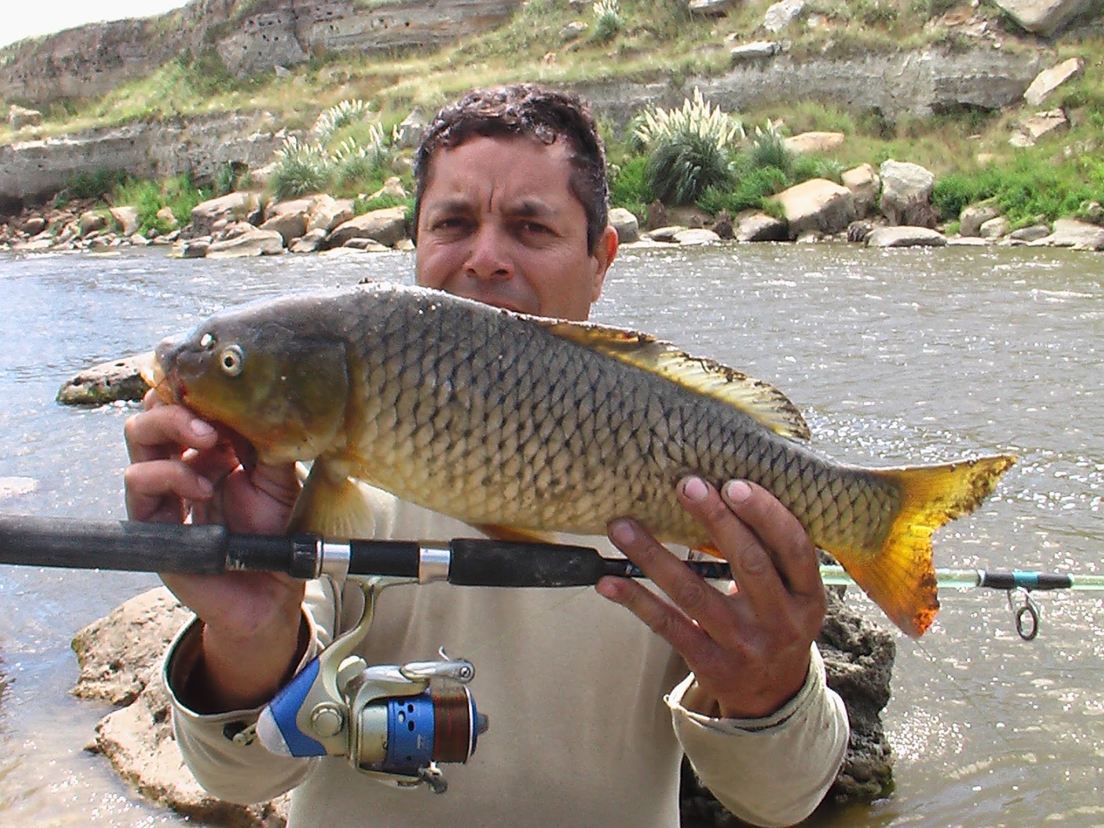 Pasión por la pesca: CARPAS,EL PEZ DEL FUTURO