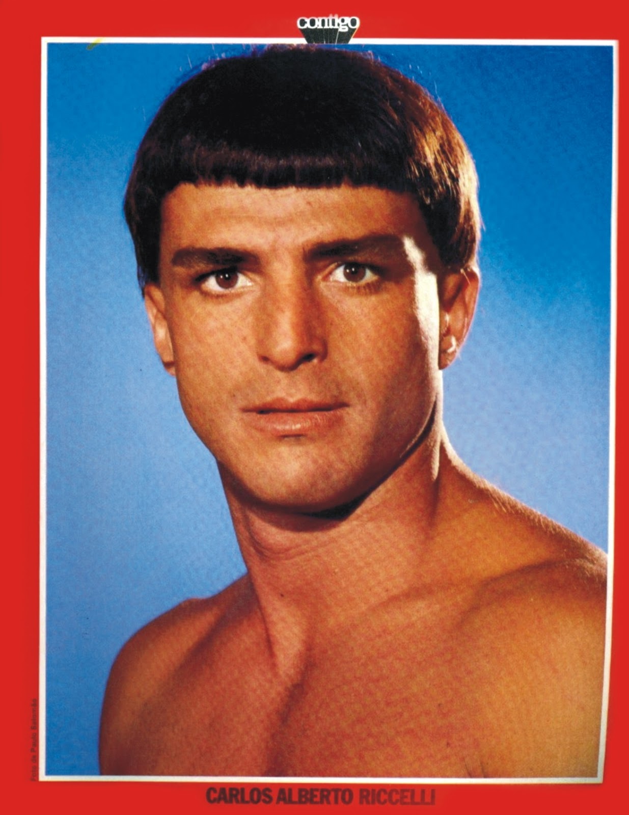 Astros em Revista: Carlos Alberto Riccelli - o Galã da TV que optou ...