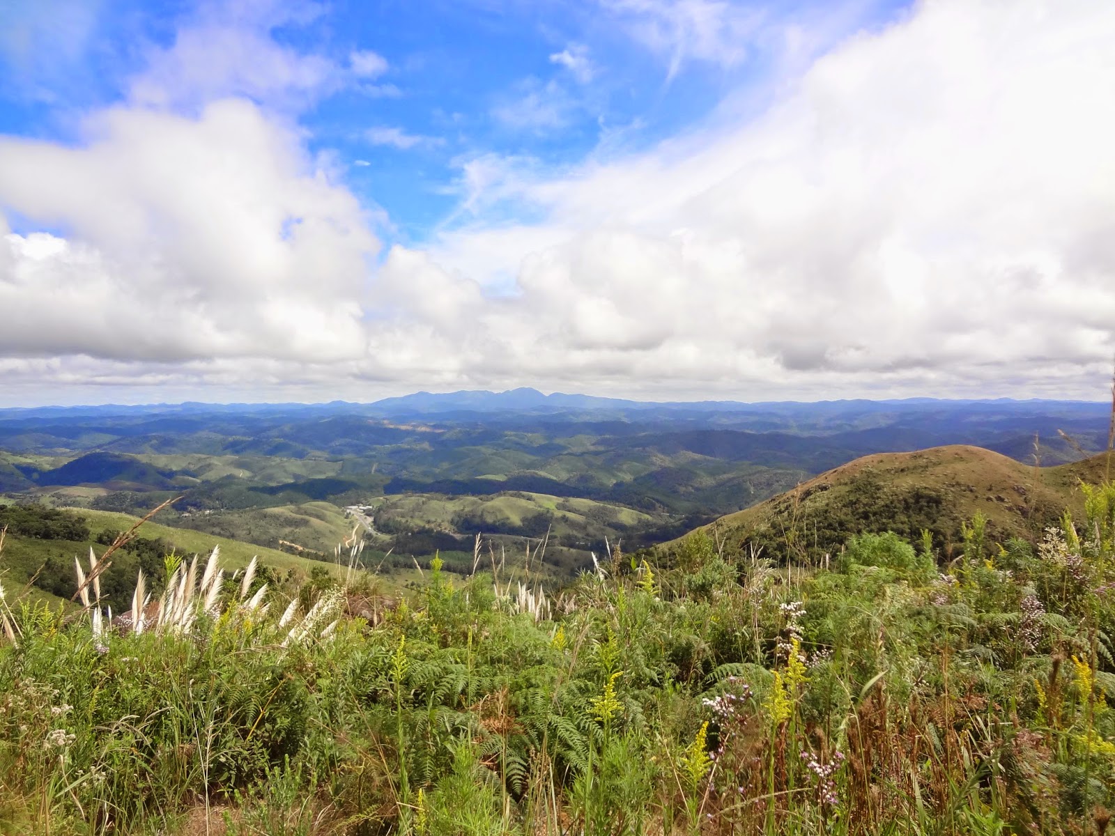 Prof. Fernando Bonato: Breve relato ambiental do Morro do Capivari