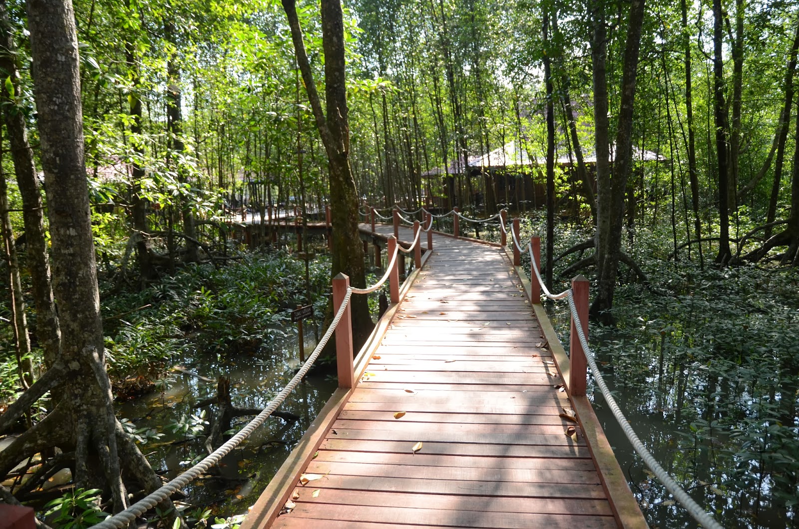 genggampisau.blogspot.com: Taiping Interesting places...3..Hutan Paya ...