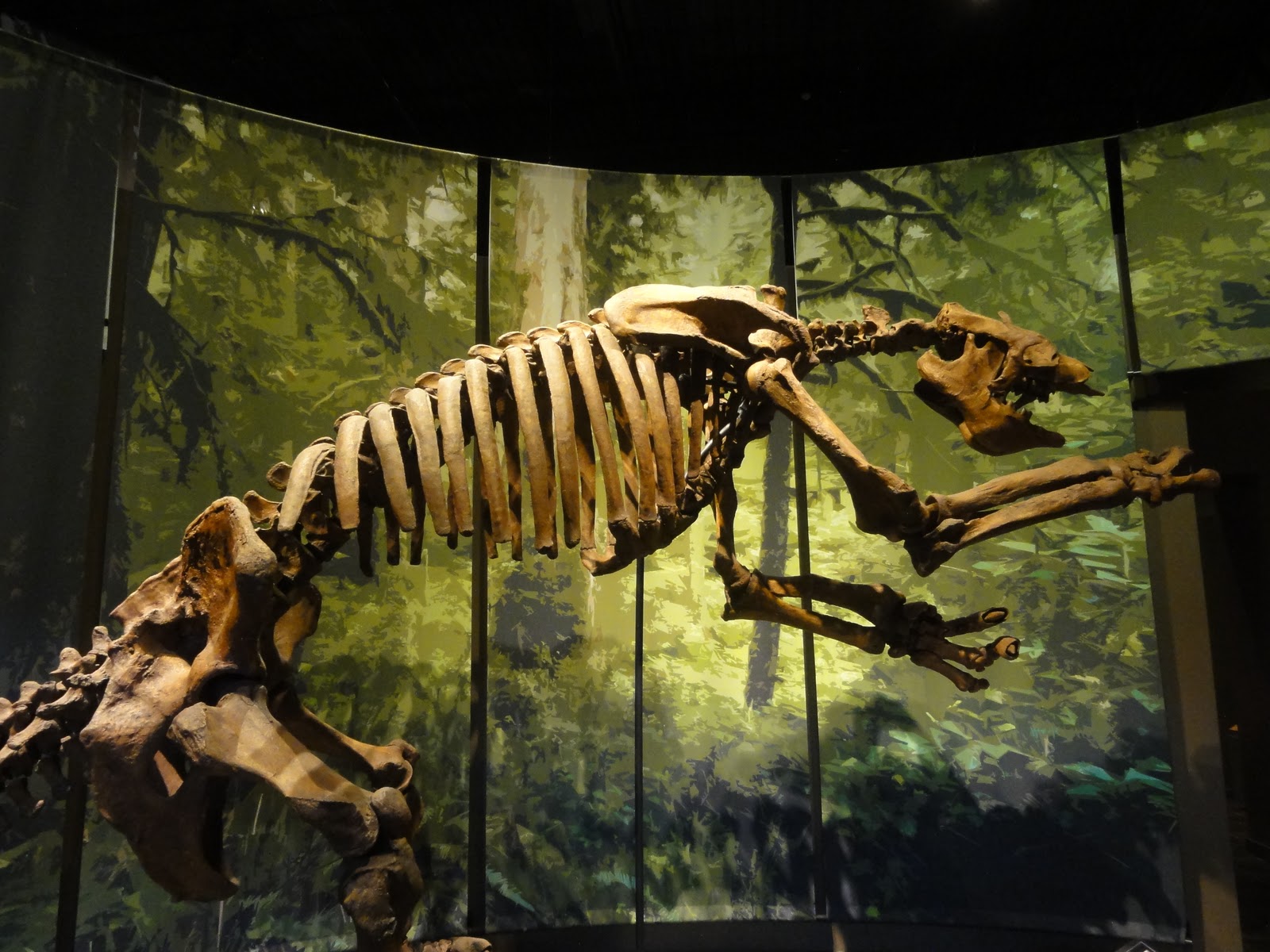 Daniel's Safari: Tellus: NW Georgia Science Museum - Cartersville, GA