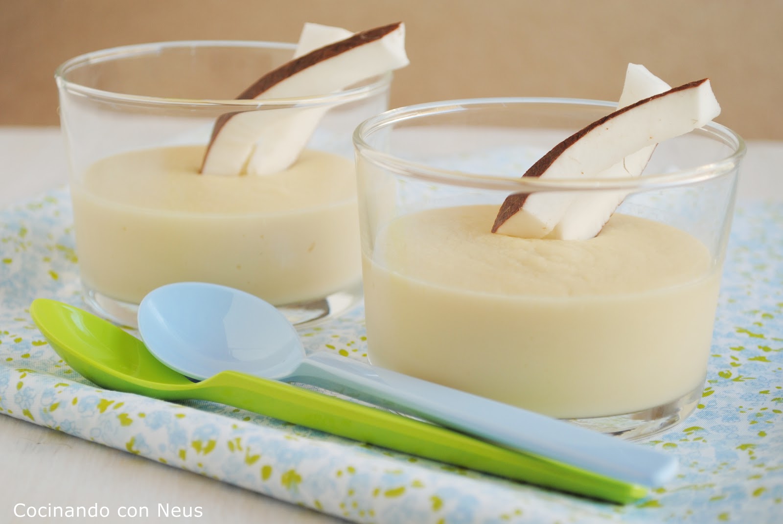 Natillas de coco con Thermomix - Cocinando con Neus