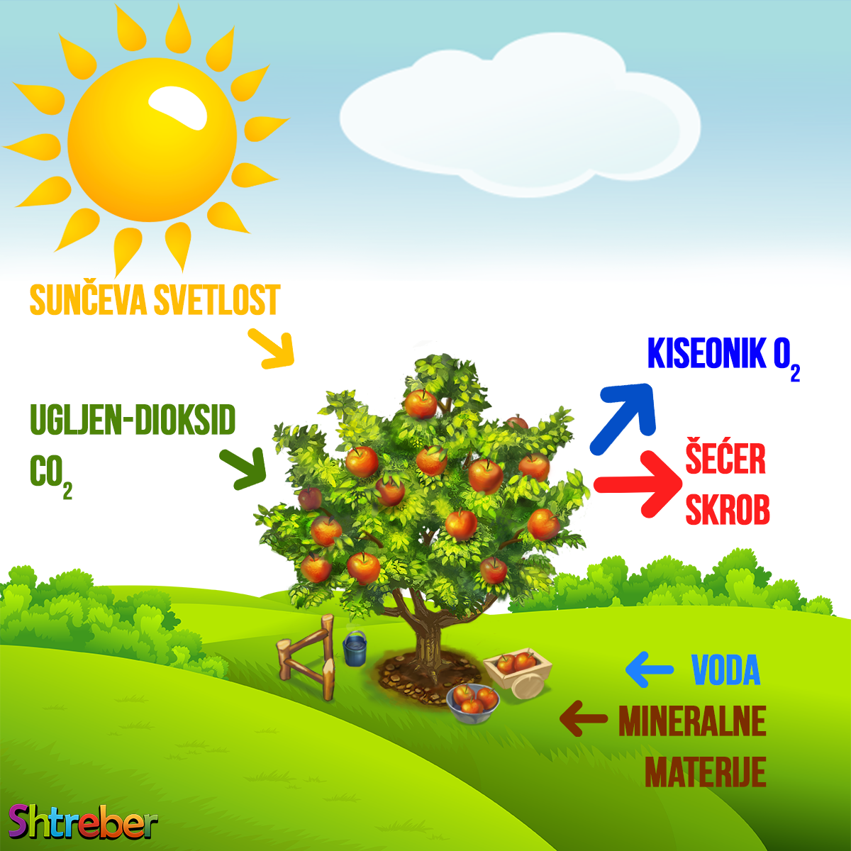 ŠTA JE FOTOSINTEZA?