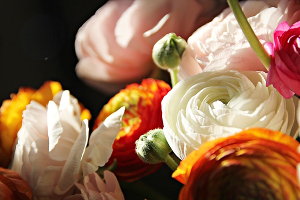 mariefriis: Fargen rosa og konfirmasjonsforberedelser