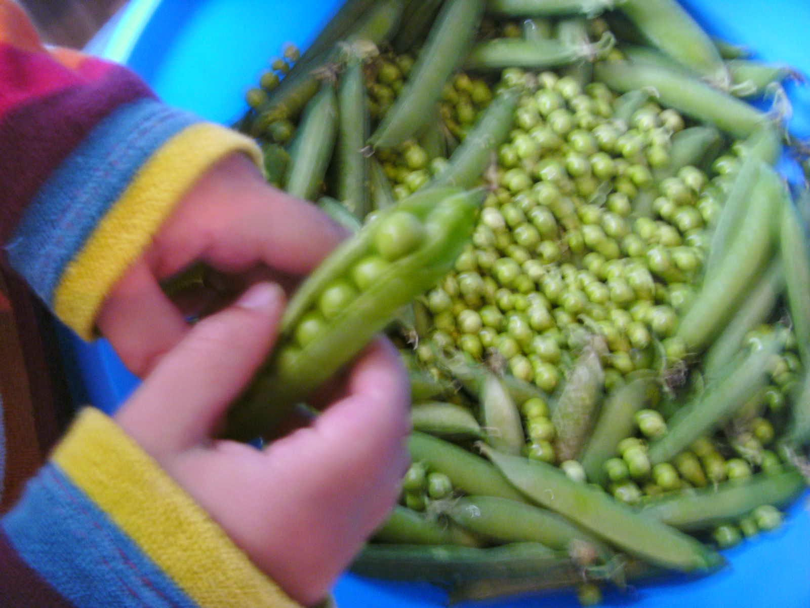 Leesportfolio: Gedichtenanalyse