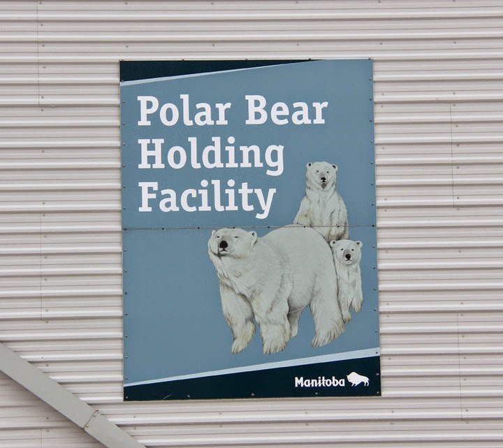 Vickie Henderson Art: Polar Bear Alley on the Hudson Bay