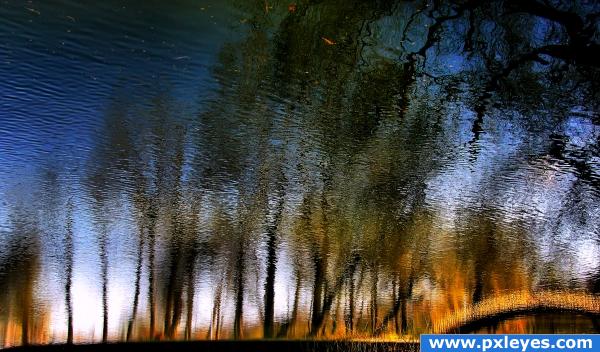 best photos 2 share: Photography Contest Entries of November 2009