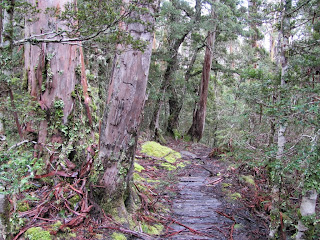 M&M Smith: TASMANIA : DAY 5 : OVERLAND TRACK : Kia Ora Hut to Windy ...