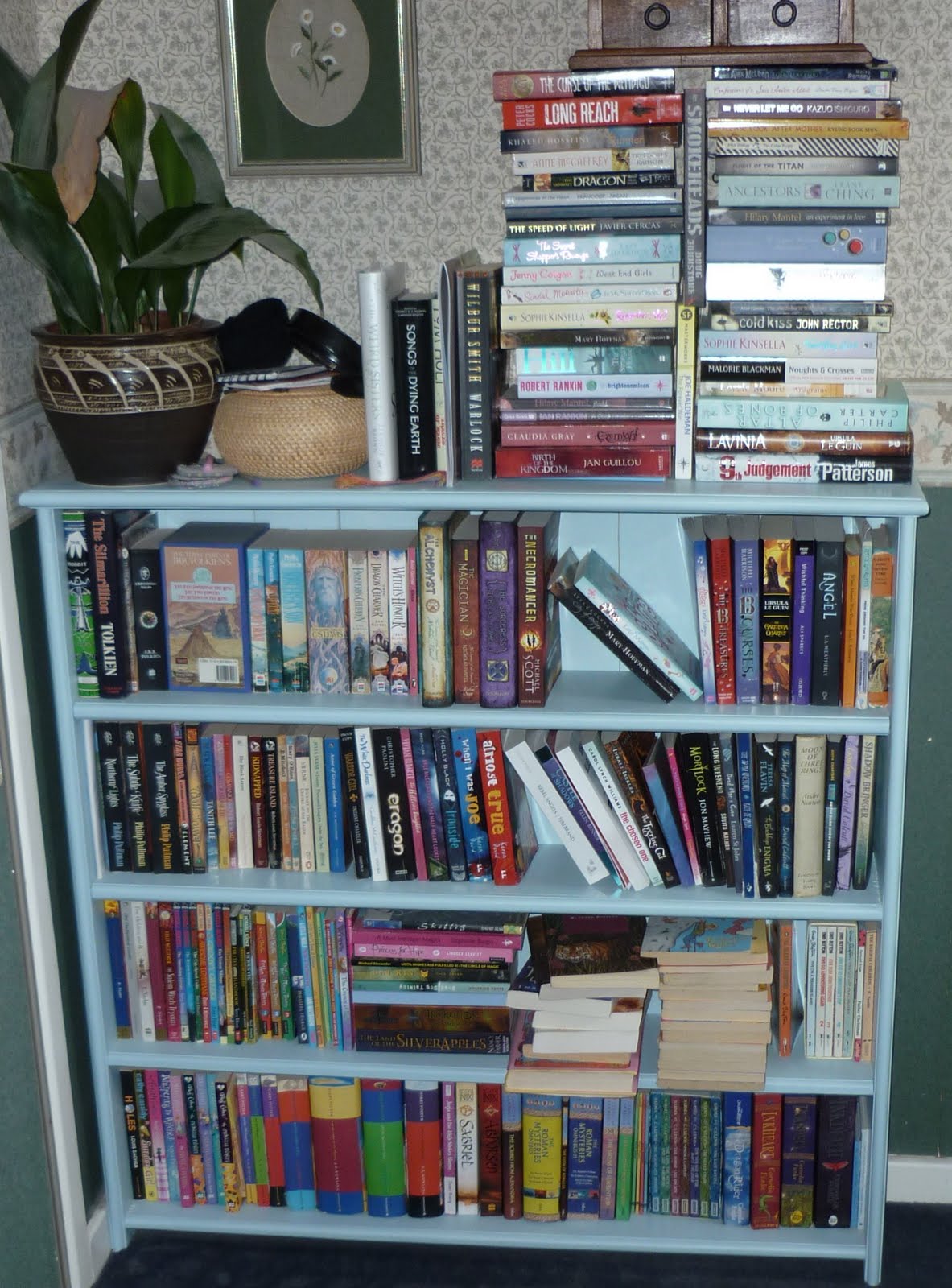 Bookcase Showcase: Mary from our book review
