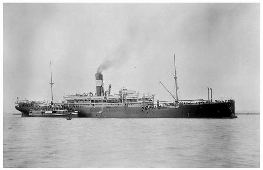 ss Waratah, A Professional Analysis : 2017