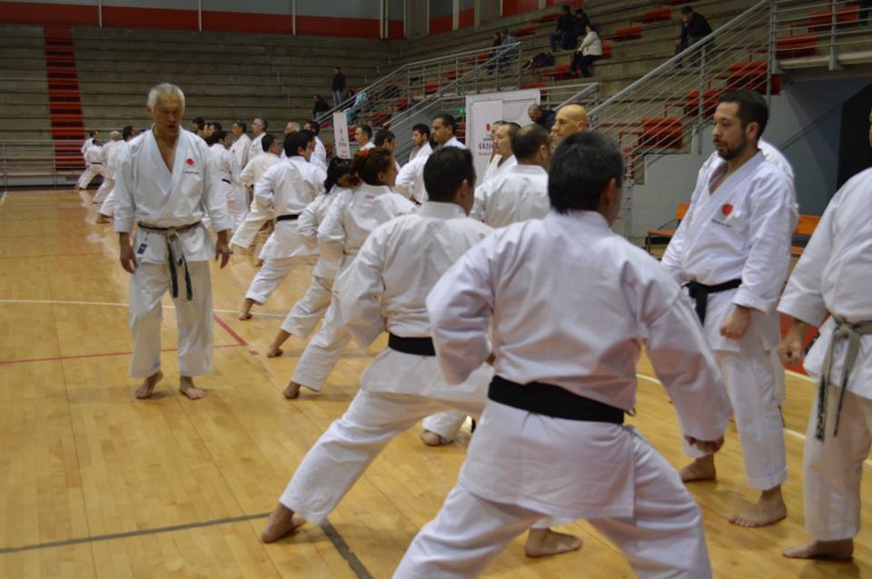 ASOCIACION DE KARATE JKA VI REGION : SEMINARIO SENSEI MITSUO INOUE Y ...