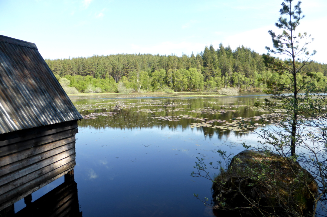 Another Side of this Life: Highlands and Islands, Arrival