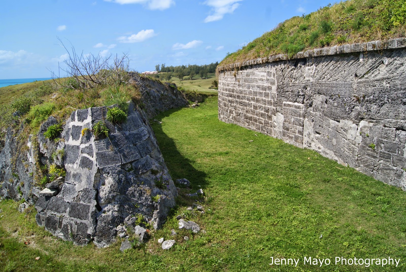 Lost But Loving It...In Alaska!: Whale Bay Surprise