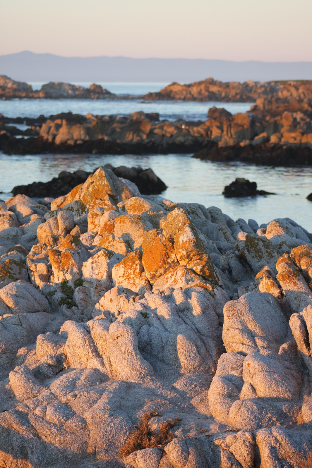 Life's a Trip: California - Point Pinos Lighthouse and Tide Pools
