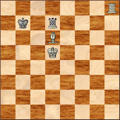 Chess Skills: Rook and Bishop versus Rook