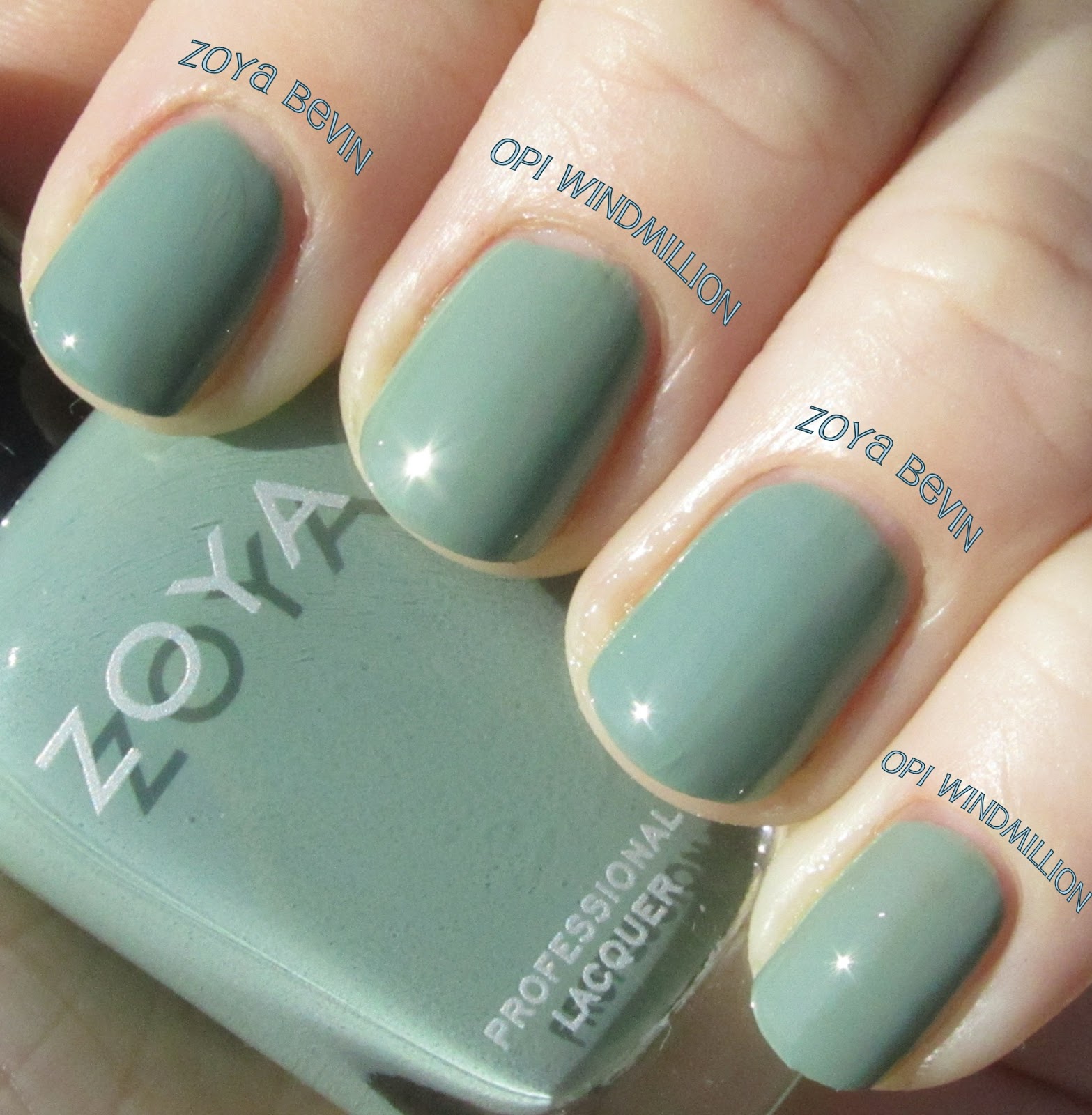 Zoya Wednesday Bevin