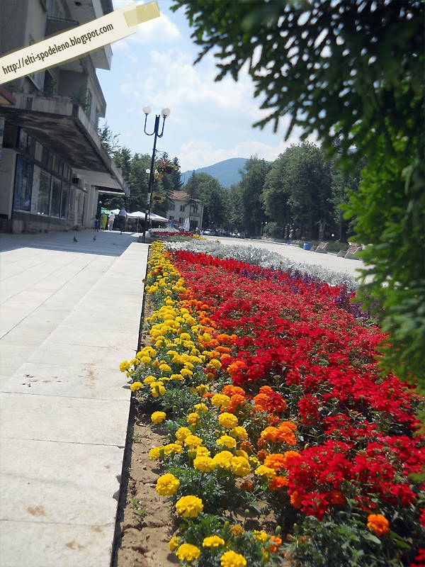 Споделено от кухнята на Elti: Берковица и част от играта "искрено и лично"