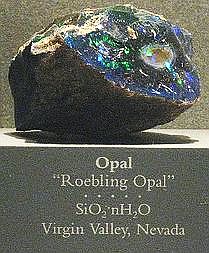 Australian Black Opal: The Roebling Black Opal
