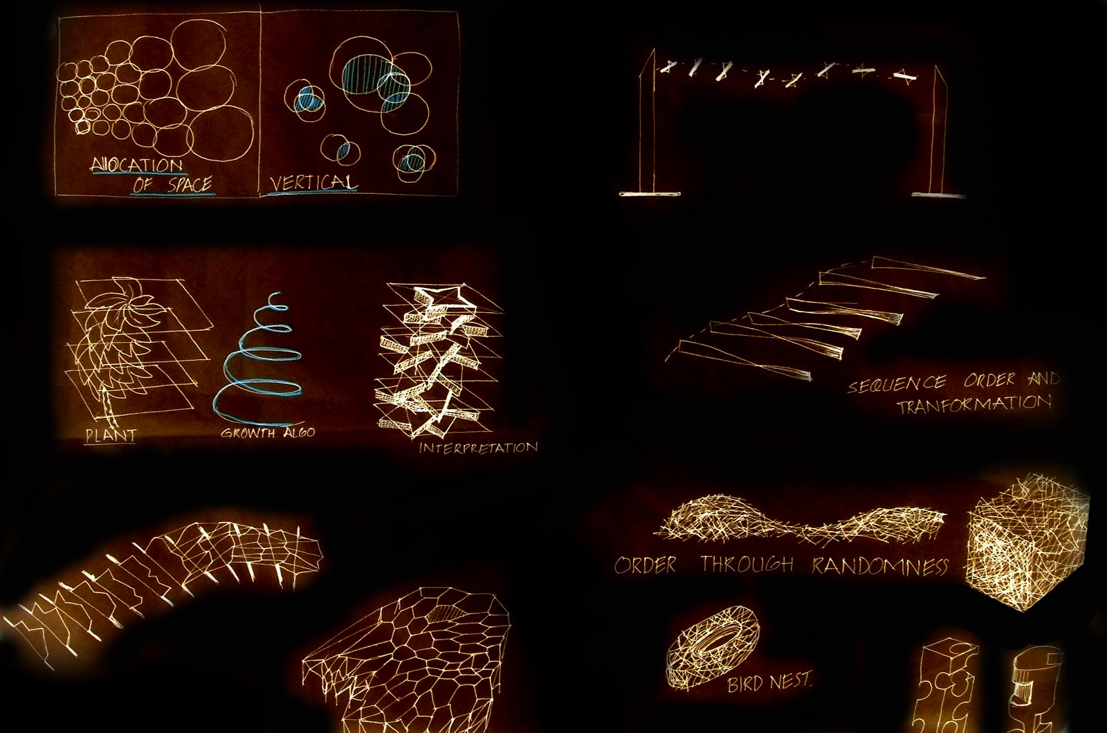 Architecture As Living Organism: Sequence and behaviour