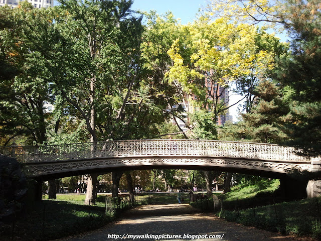 My Walking Pictures: Autumn in Central Park