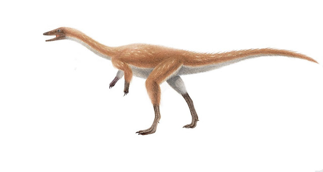 새와 공룡의 중간에 있는 공룡 알바레즈사우루스