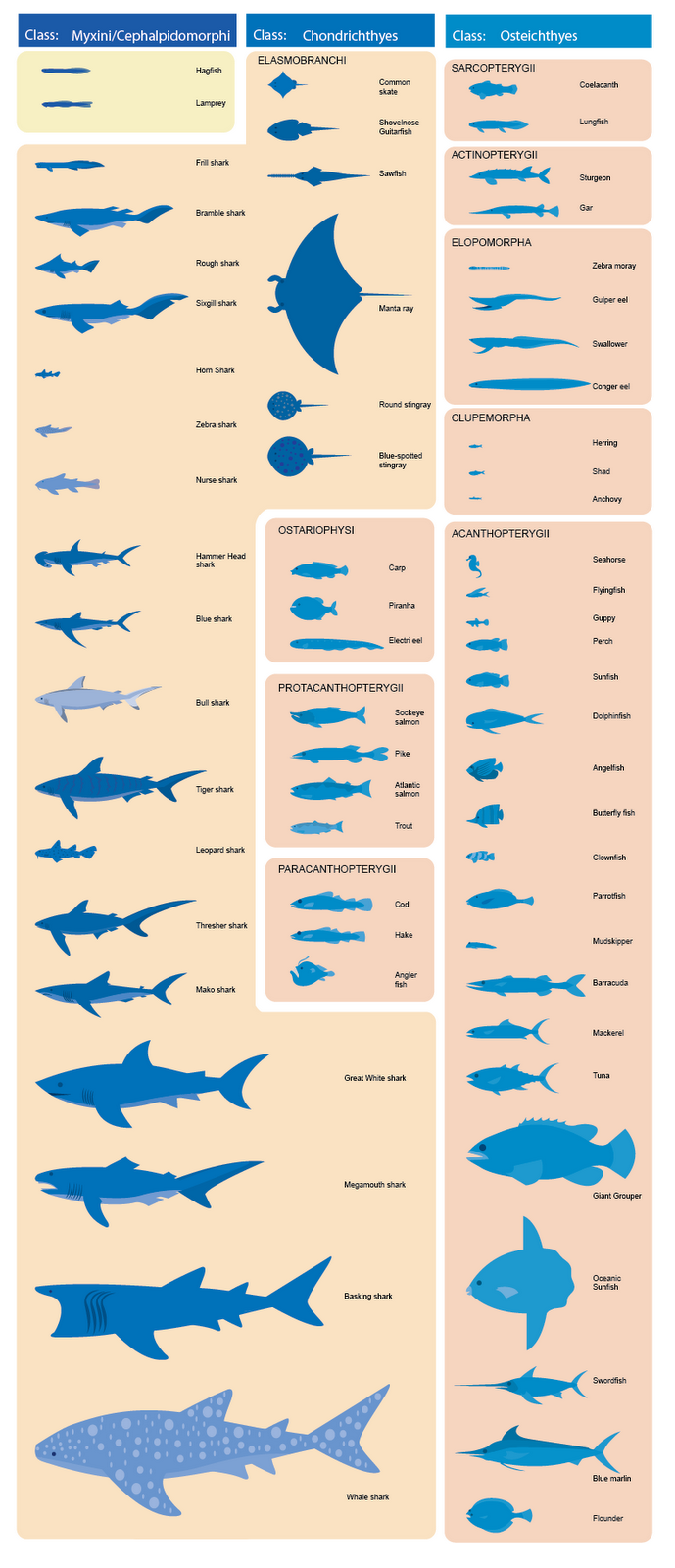 JULIANHECTOR: Who Eats Who? - A Food Web
