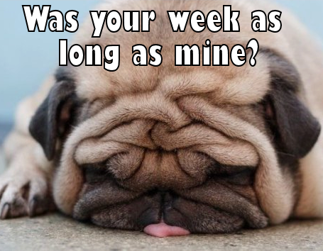 Our New Life in the Country: It's been a looooong week ......