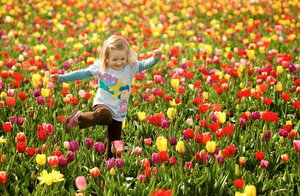 Início da Primavera - Colégio - Teste