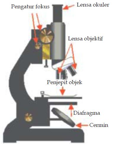 Pengertian Alat Optik dan Macam-macam Jenis Contoh Alat Optik - INFO ...