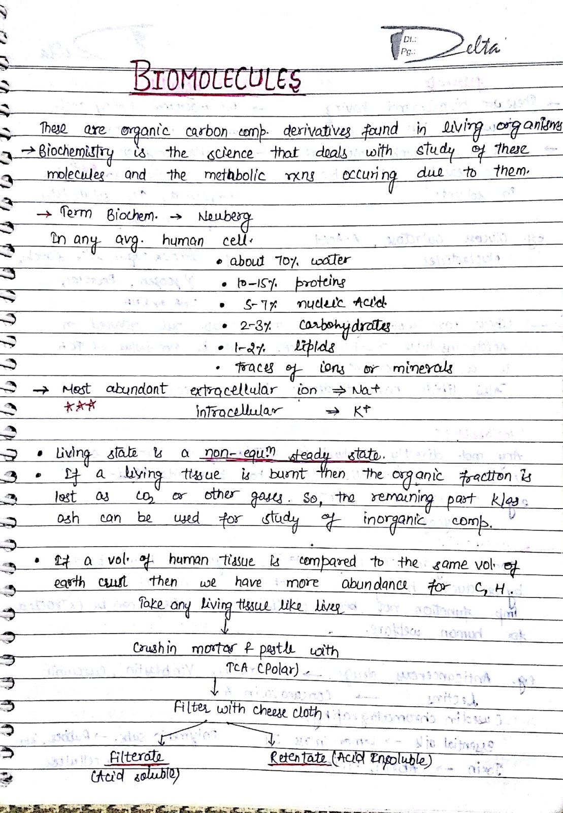 Biomolecules Class 11 Short Notes at Ina Rivas blog