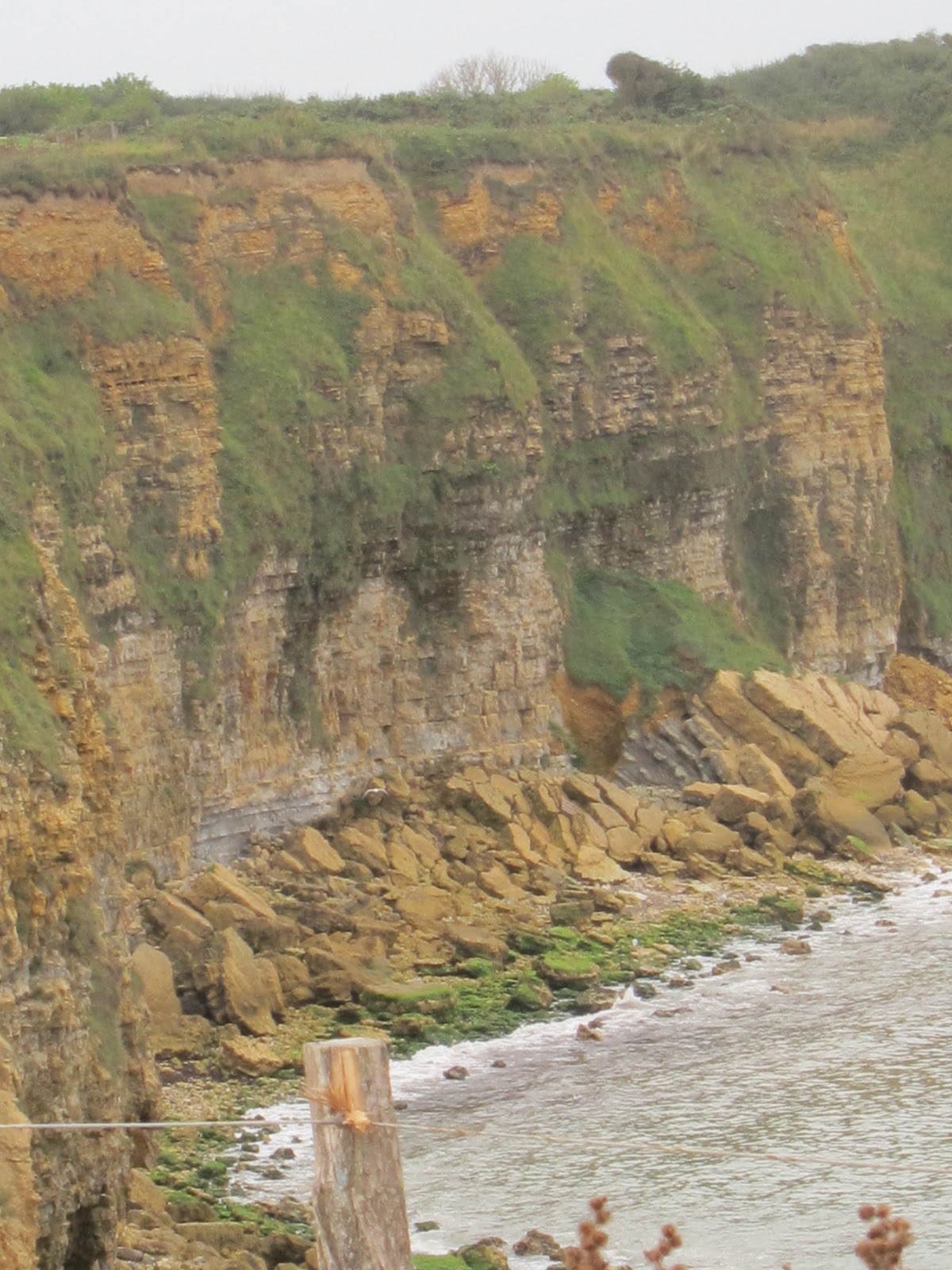 Unfulfilled Expectations: Revisiting the Longest Day