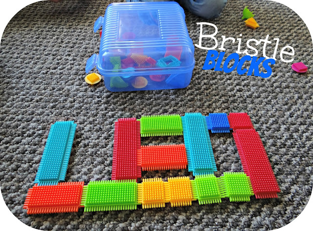 Life Unexpected: The Bristle Blocks Basic Builder Case Review