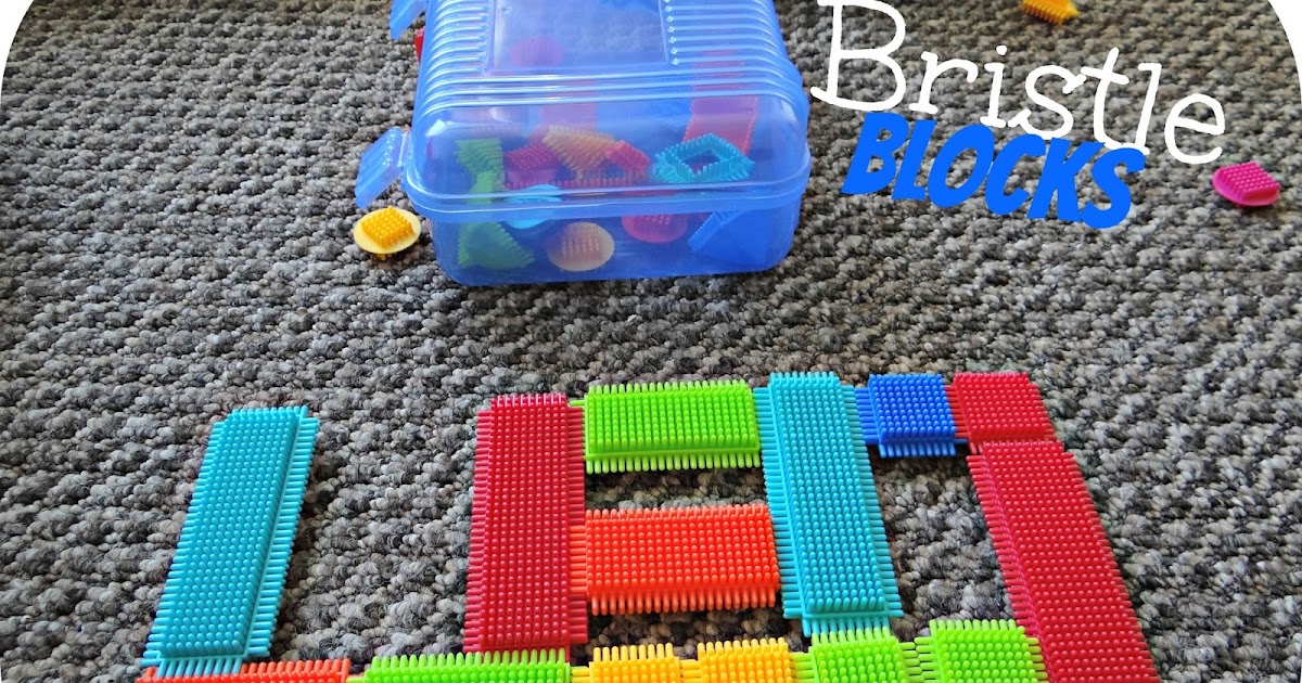 Life Unexpected: The Bristle Blocks Basic Builder Case Review
