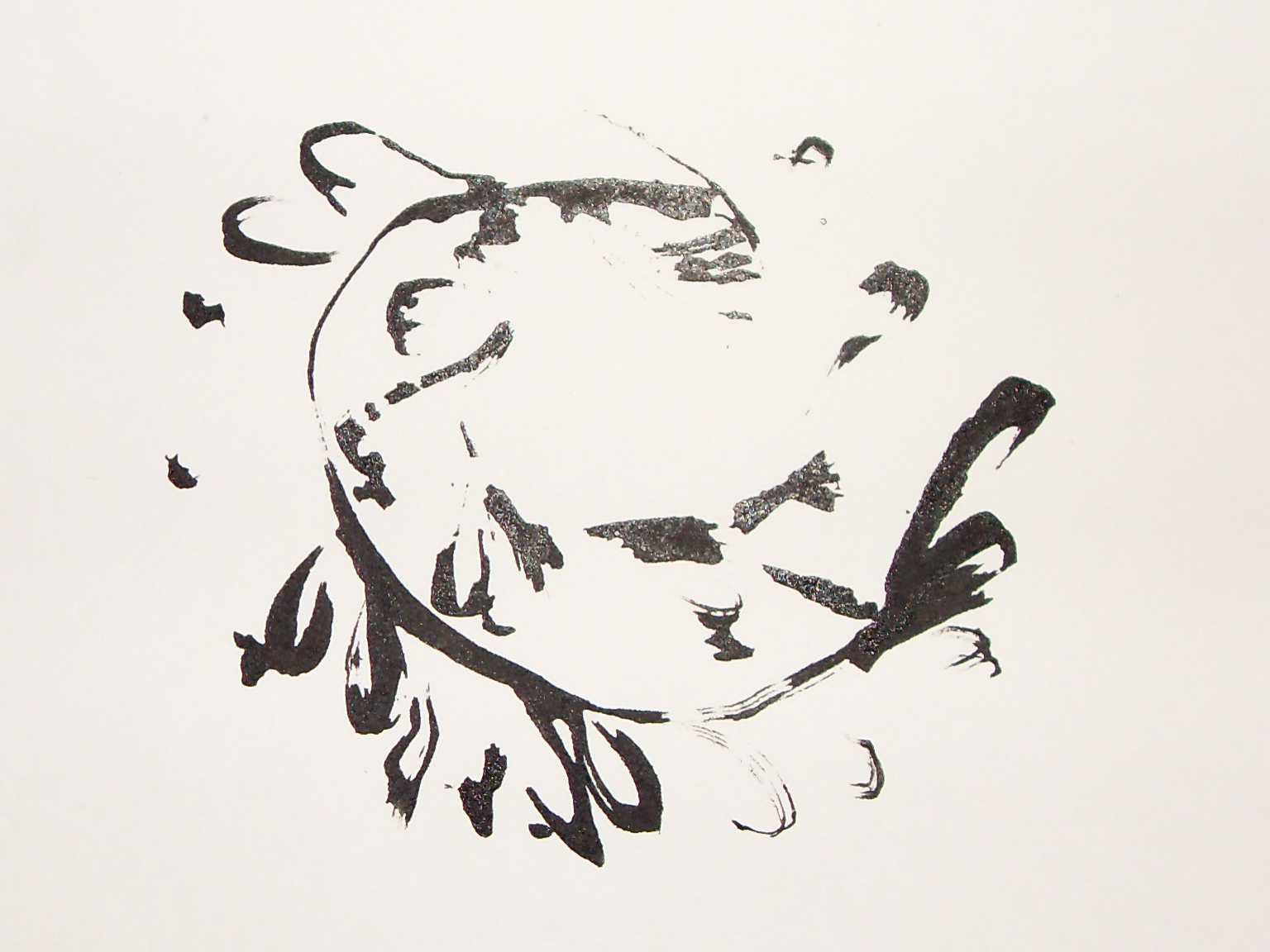 Emma's Art Diary: Ink drawings inspired by paper work.