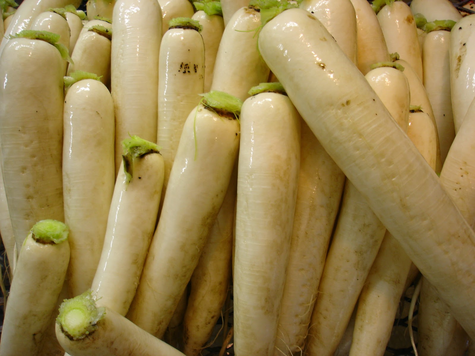 Harmony Valley Farm: Featured Vegetable: Daikon and Beauty Heart Radishes