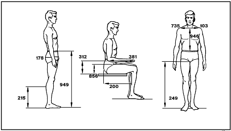 Body Man Sitting Anthropometry Measurements Dimension Side Front Human ...