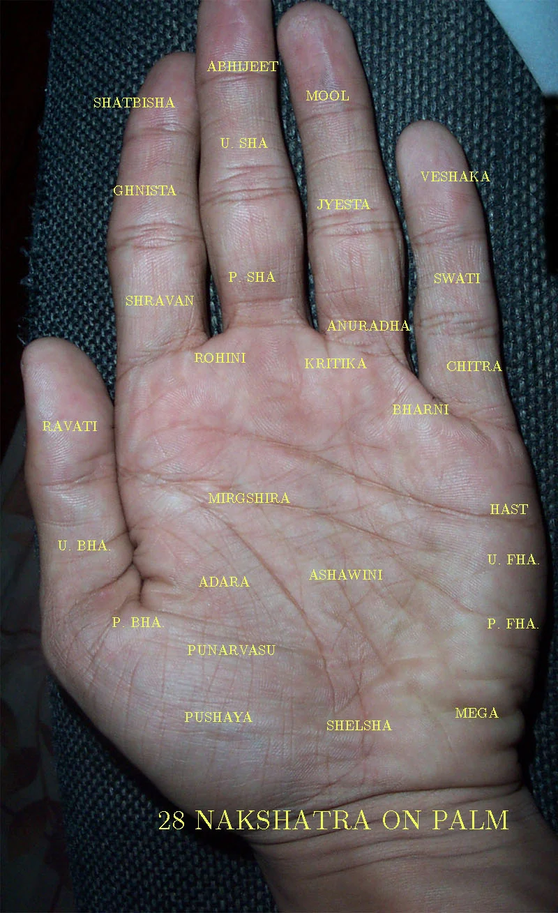 Vedic Palmistry (Hasta Rekha Gyan) ~ INDIAN PALMISTRY | PALM READING ...