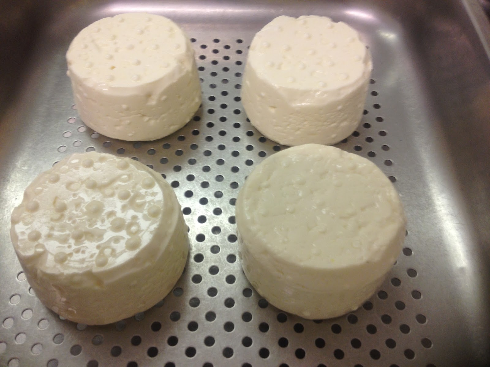 Leech & Sons: David's first effort at Cheese making