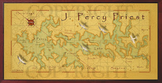 Old field Studio & Leo Lakes: Lake Art! Percy Priest Lake!