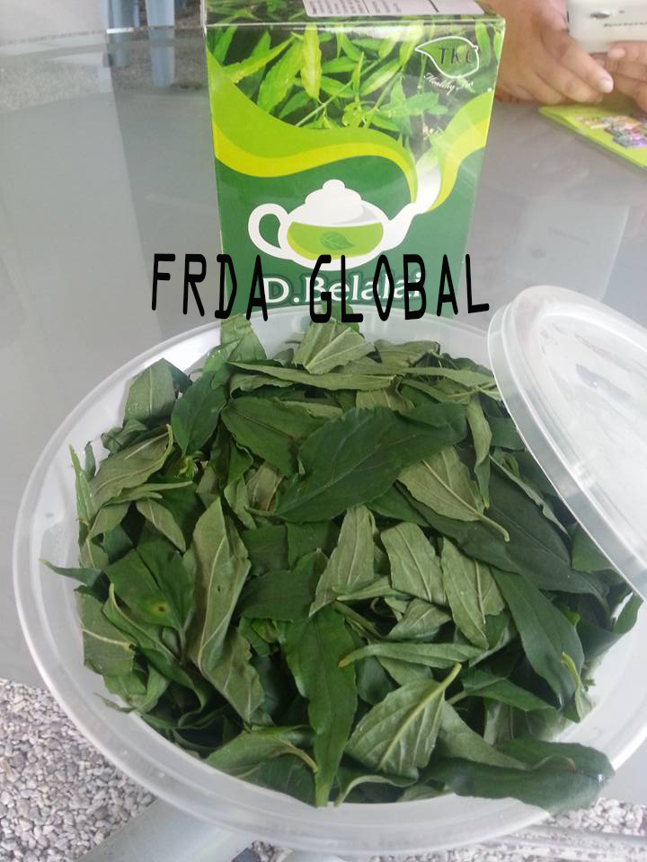 Sabah Snake Grass: Health benefits of Sabah Snake Grass