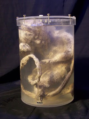 Propnomicon: August 2011