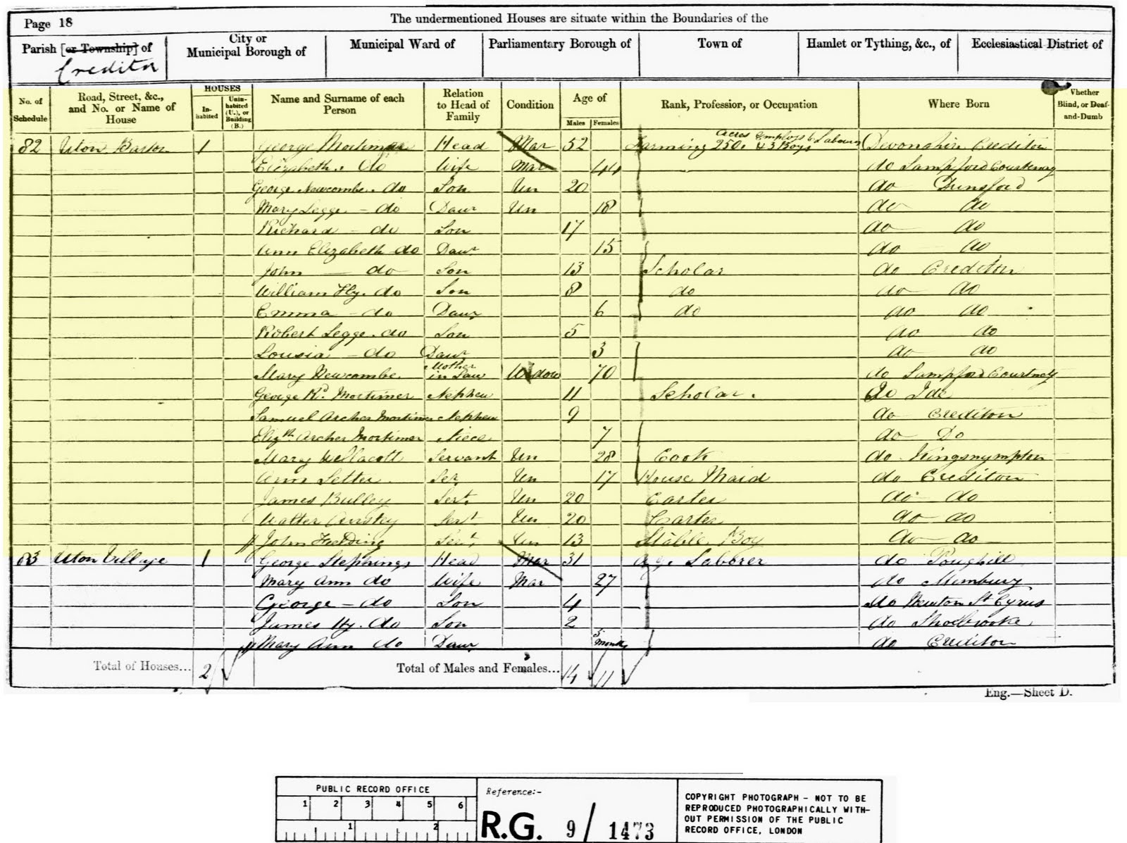Family Tree for Sailor Sue: MORTIMER BRANCH