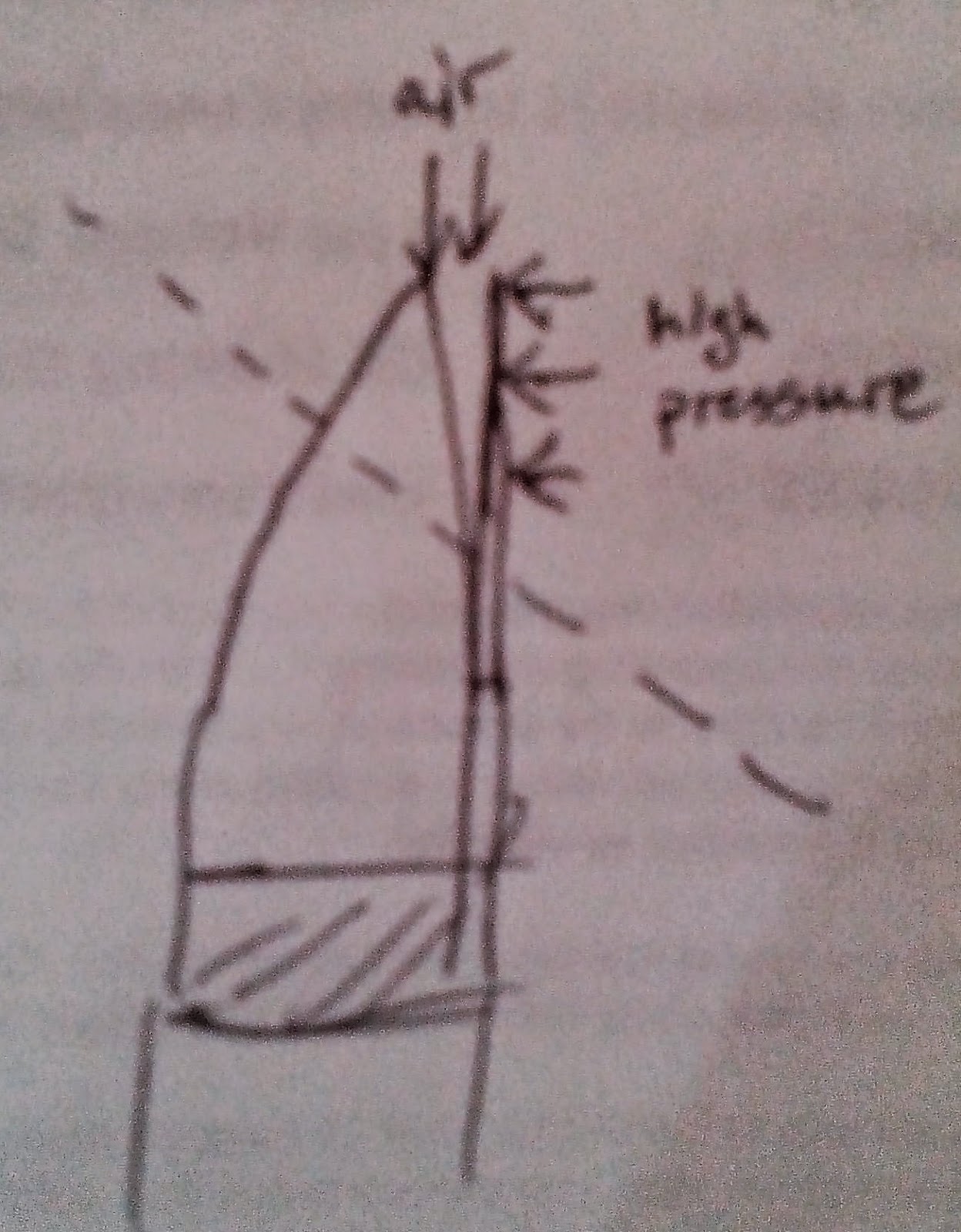 Last Chair: The Physics of Music: How do reeds work?