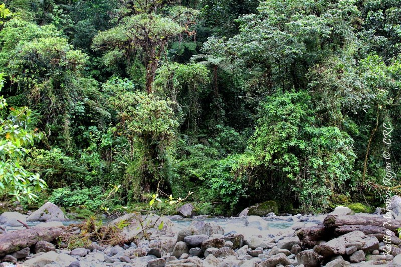 Parque Nacional Tapantí | Explore Costa Rica