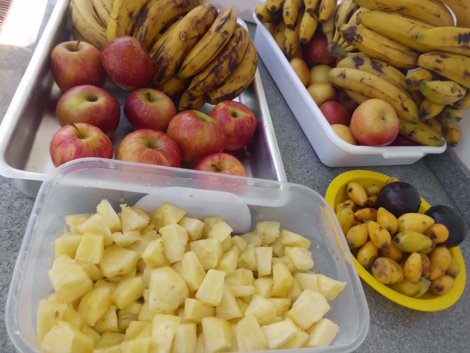 CEMEI MENINO JESUS: Piquenique de Frutas