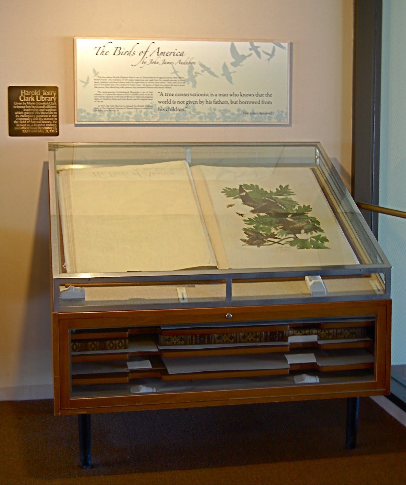 BiblioBytes: The Harold T. Clark Library Blog: Extreme Books: the ...